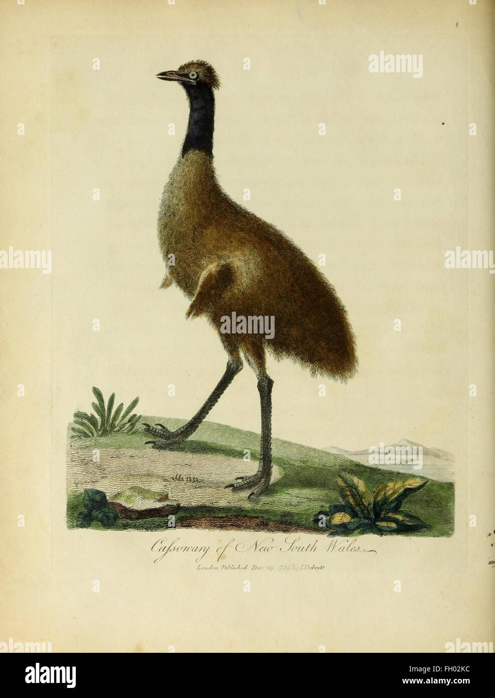 A journal documenting the experiences and observations of a voyage to ...