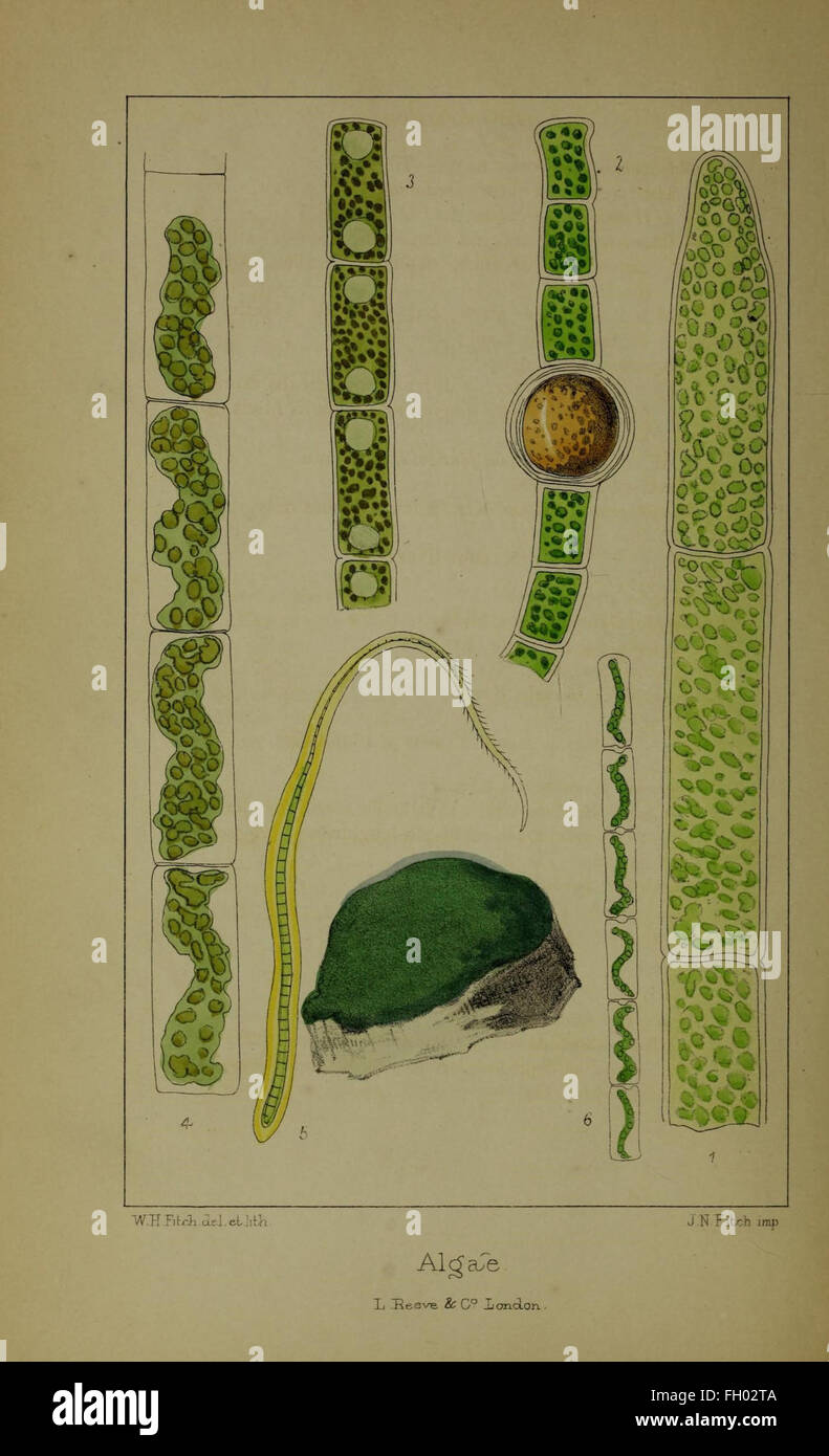 This historical journey explores the route from Lahore to Yarkand ...