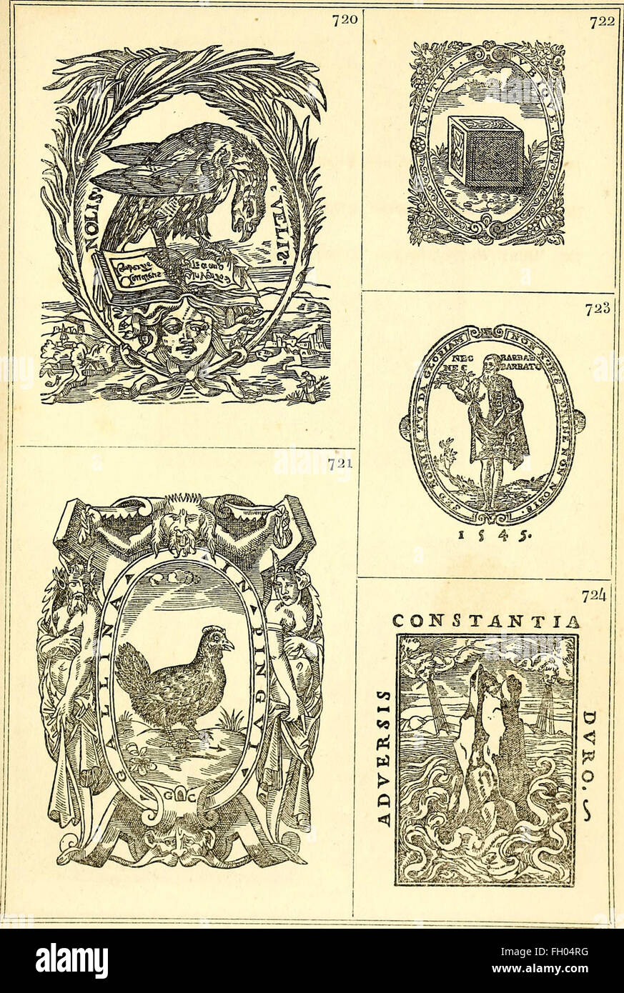 Lintroduction hi-res stock photography and images - Alamy