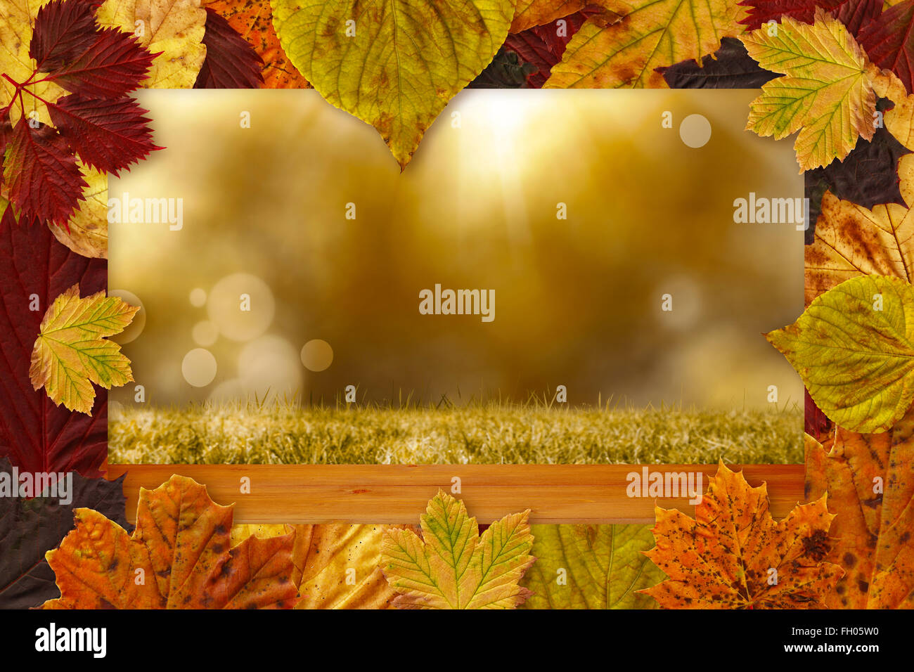 Composite image of autumn leaves pattern Stock Photo - Alamy