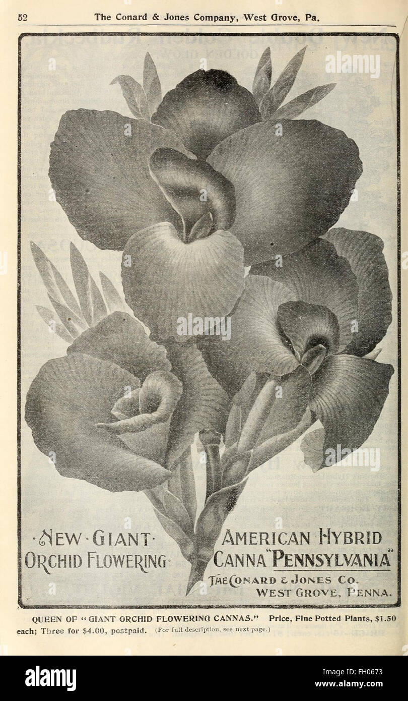 This floral guide provides an updated and detailed catalog of flowers ...