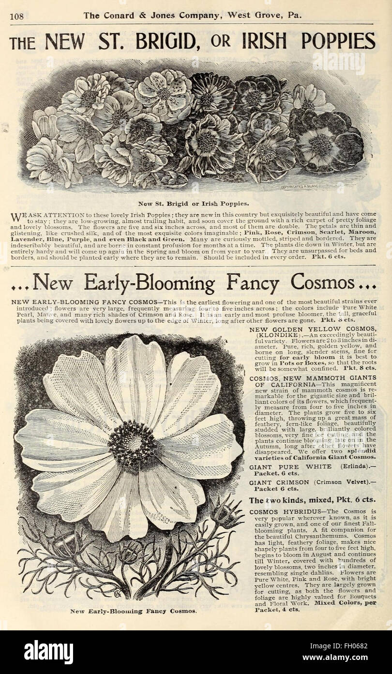 This floral guide provides practical advice for growing and caring for ...