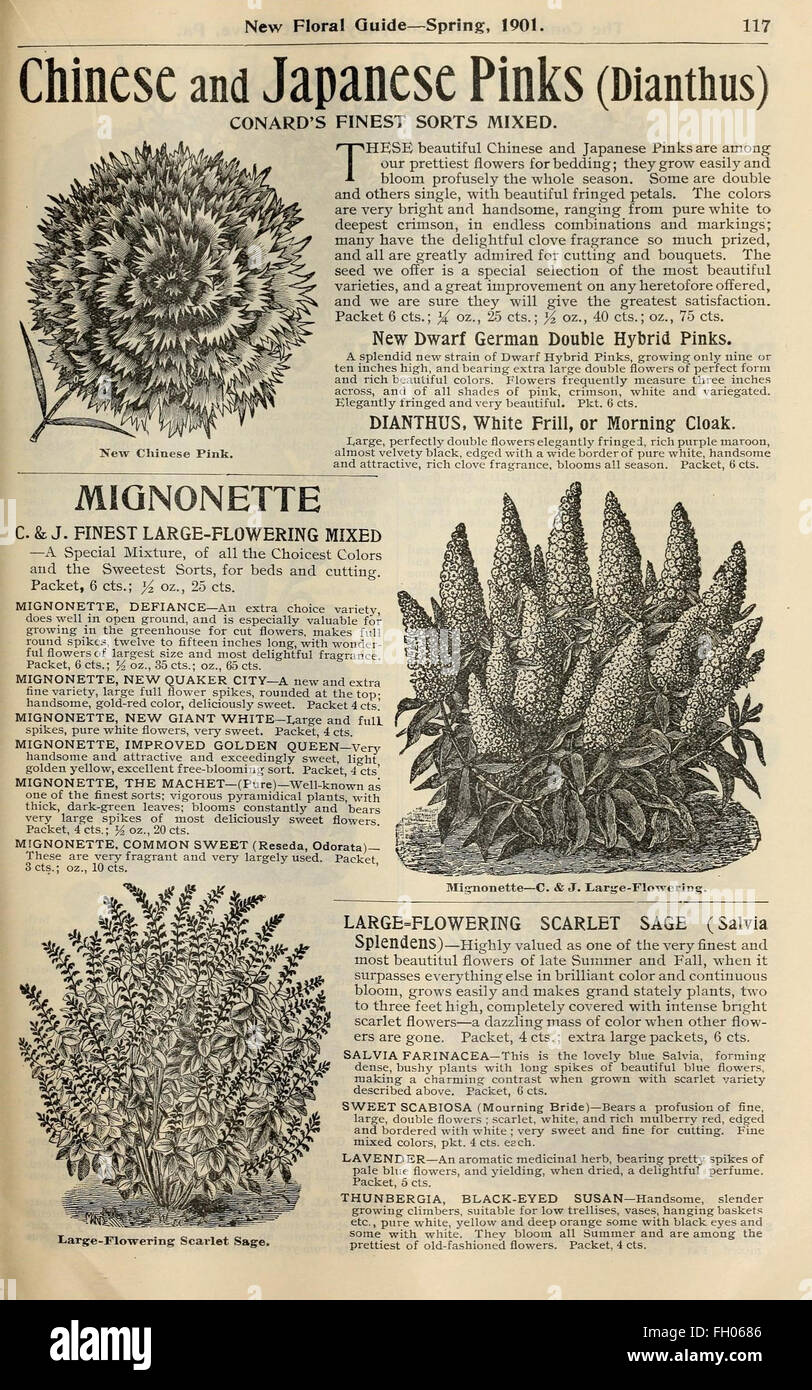 This floral guide provides up-to-date information on the cultivation ...