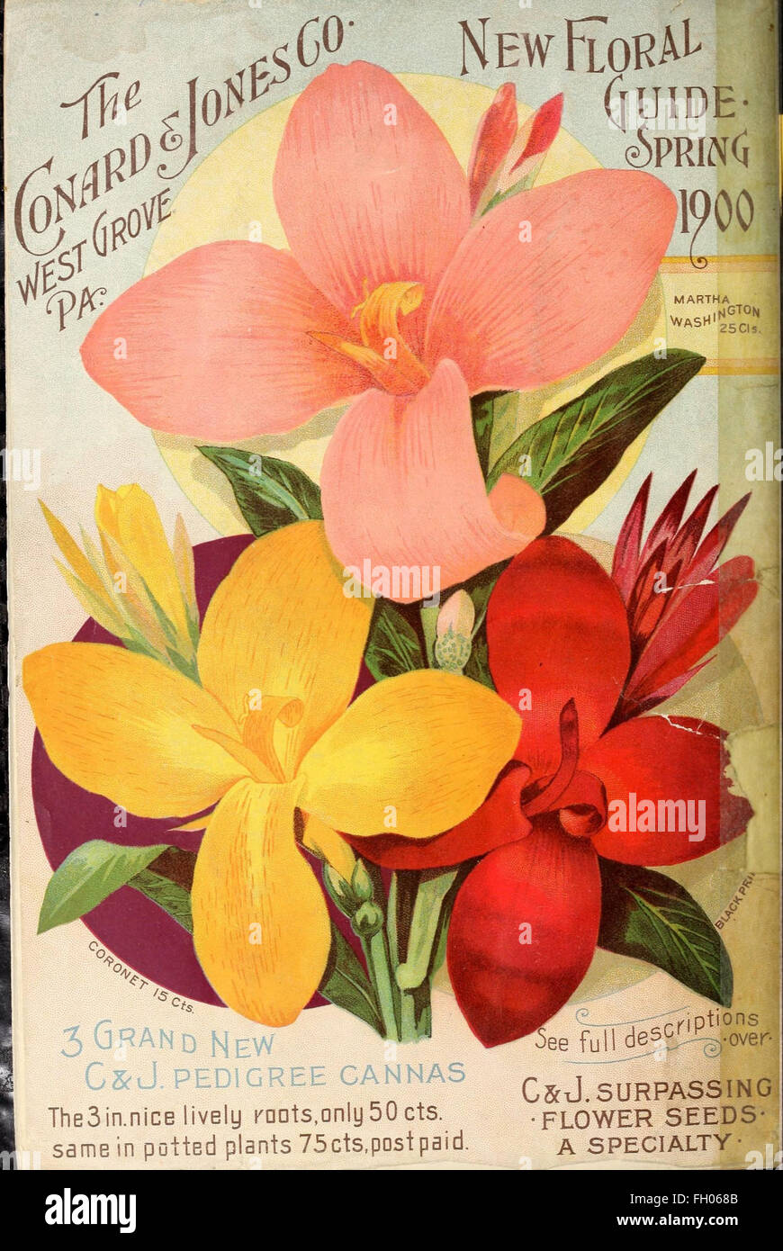 The New Floral Guide serves as an updated reference for flower ...