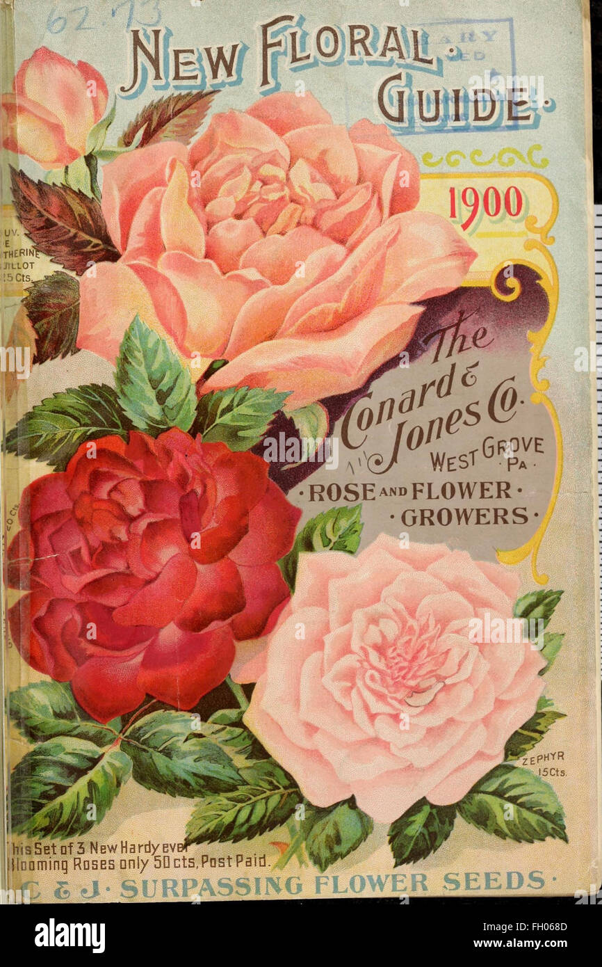 Comprehensive guide cultivation care hi-res stock photography and ...