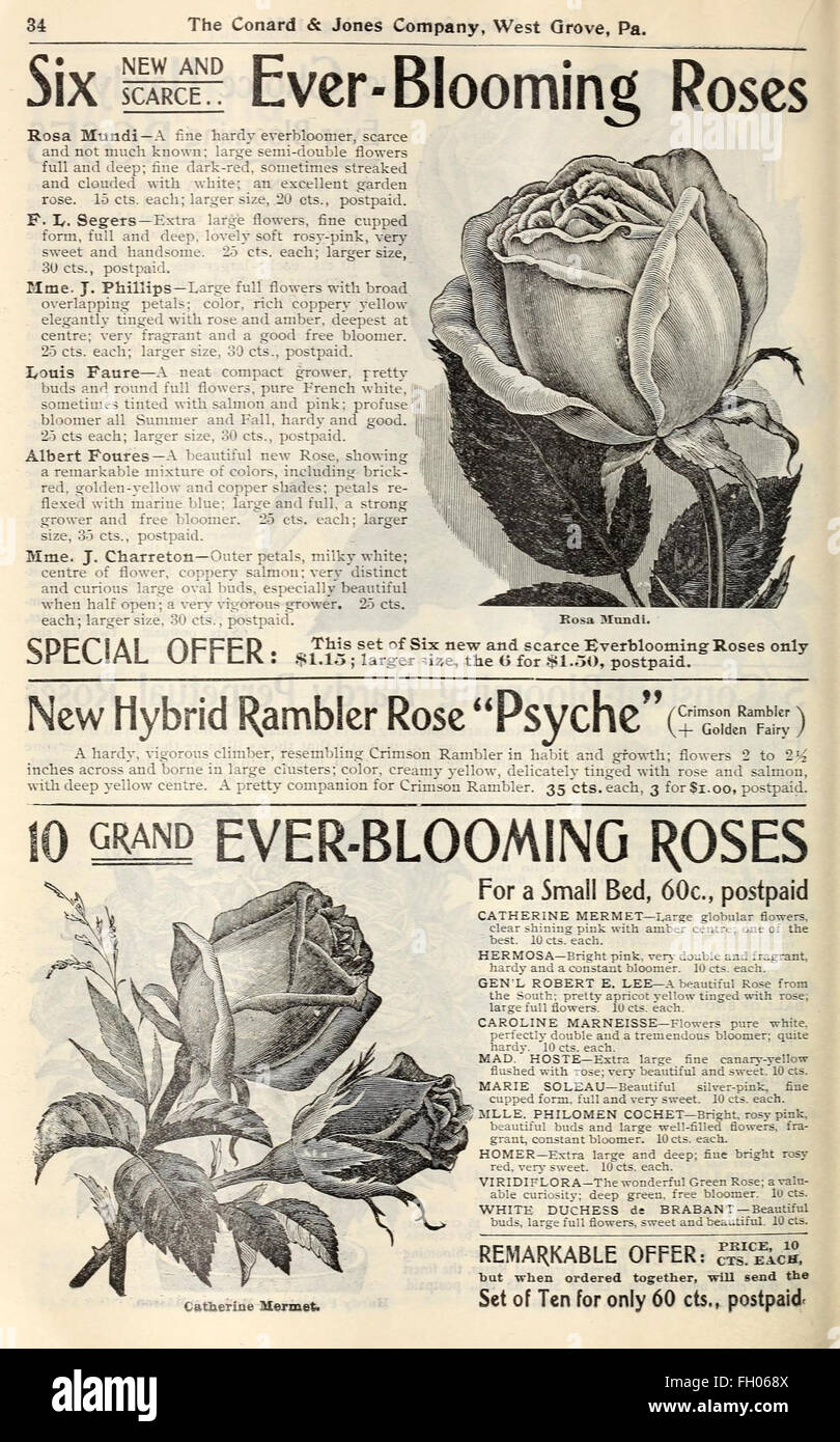 A comprehensive guide offering information on a wide range of flowers ...