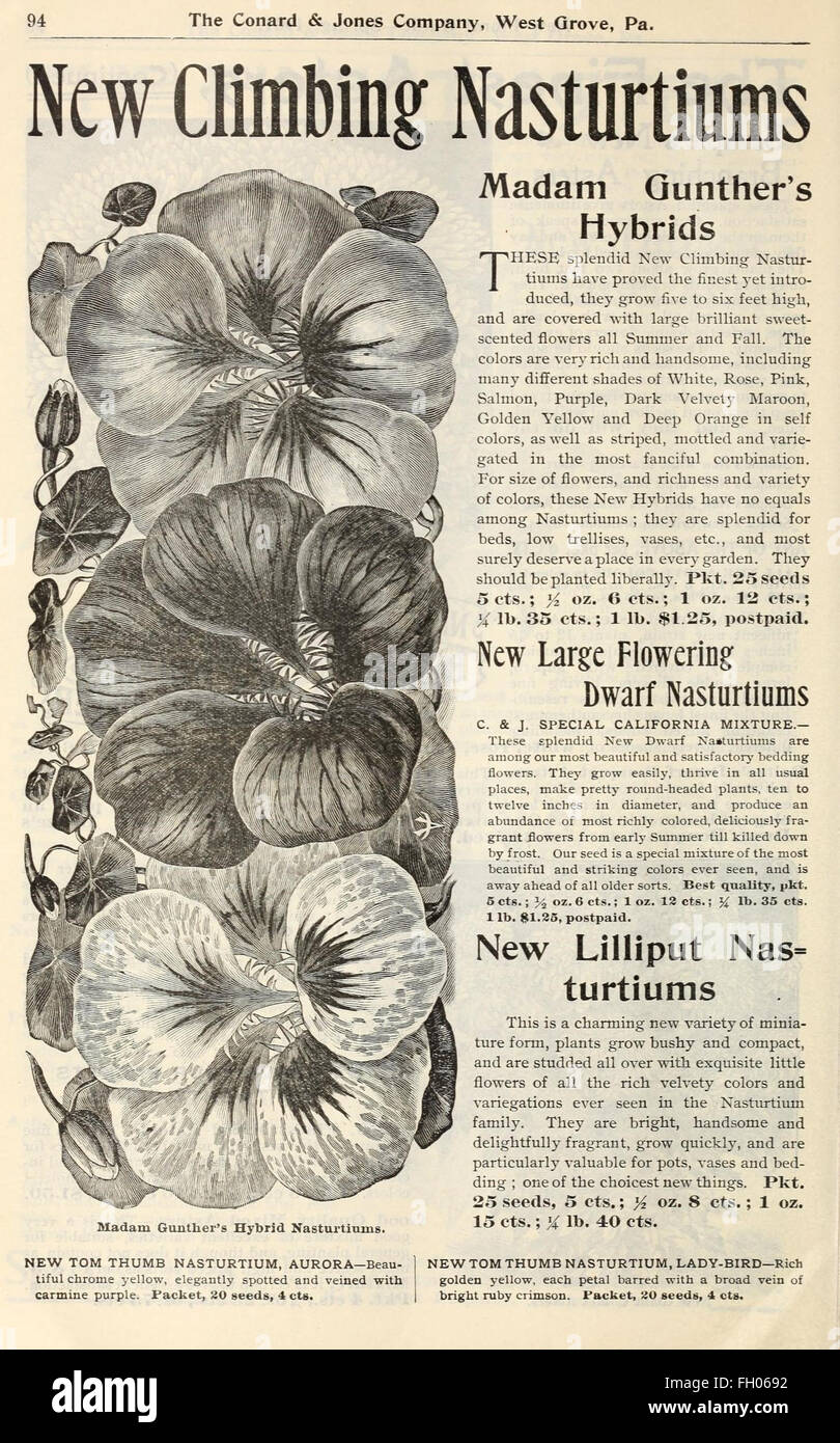 The New Floral Guide offers detailed information on growing and caring ...