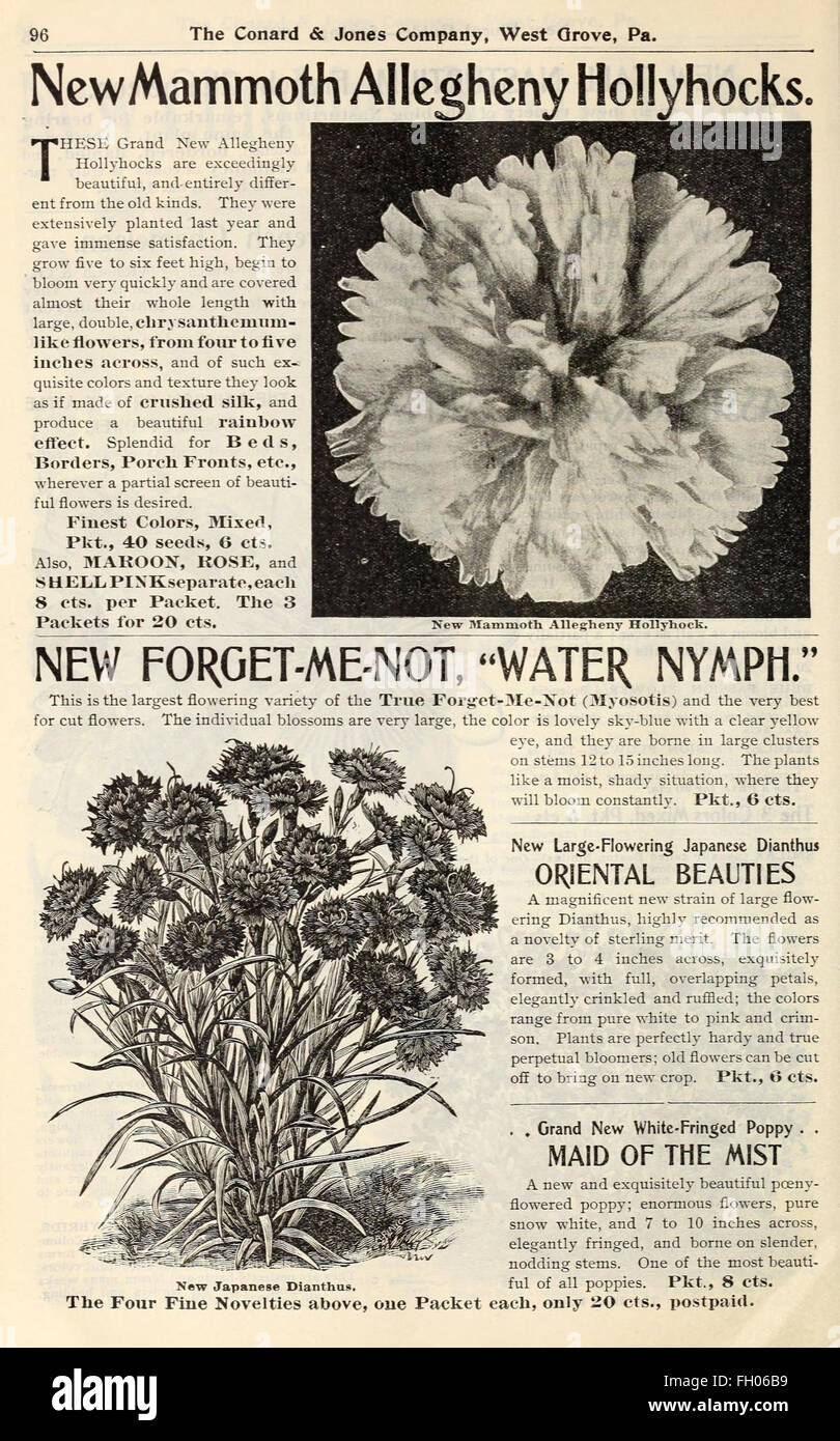 The New Floral Guide is a comprehensive resource for flower enthusiasts ...