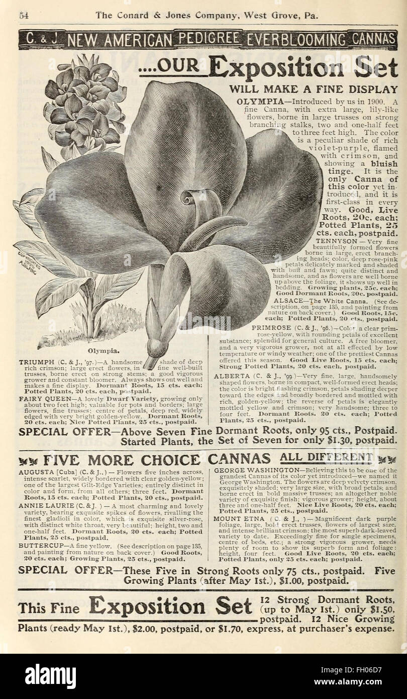 This floral guide offers comprehensive information on various plant ...