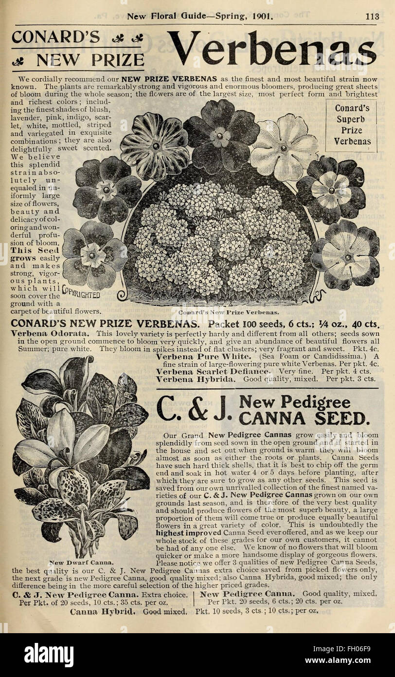 Comprehensive guide cultivation care hi-res stock photography and ...