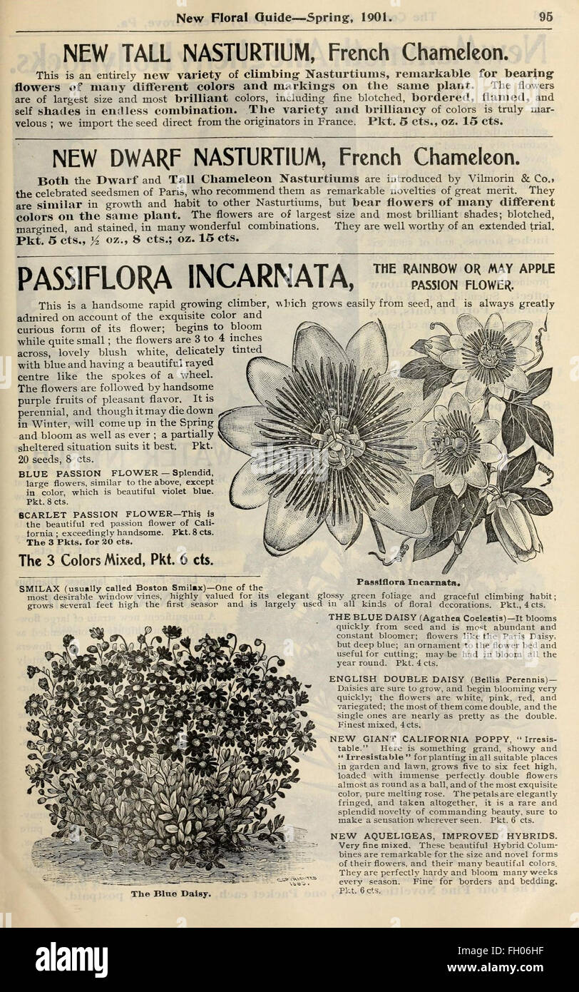 This floral guide offers comprehensive information on various types of ...