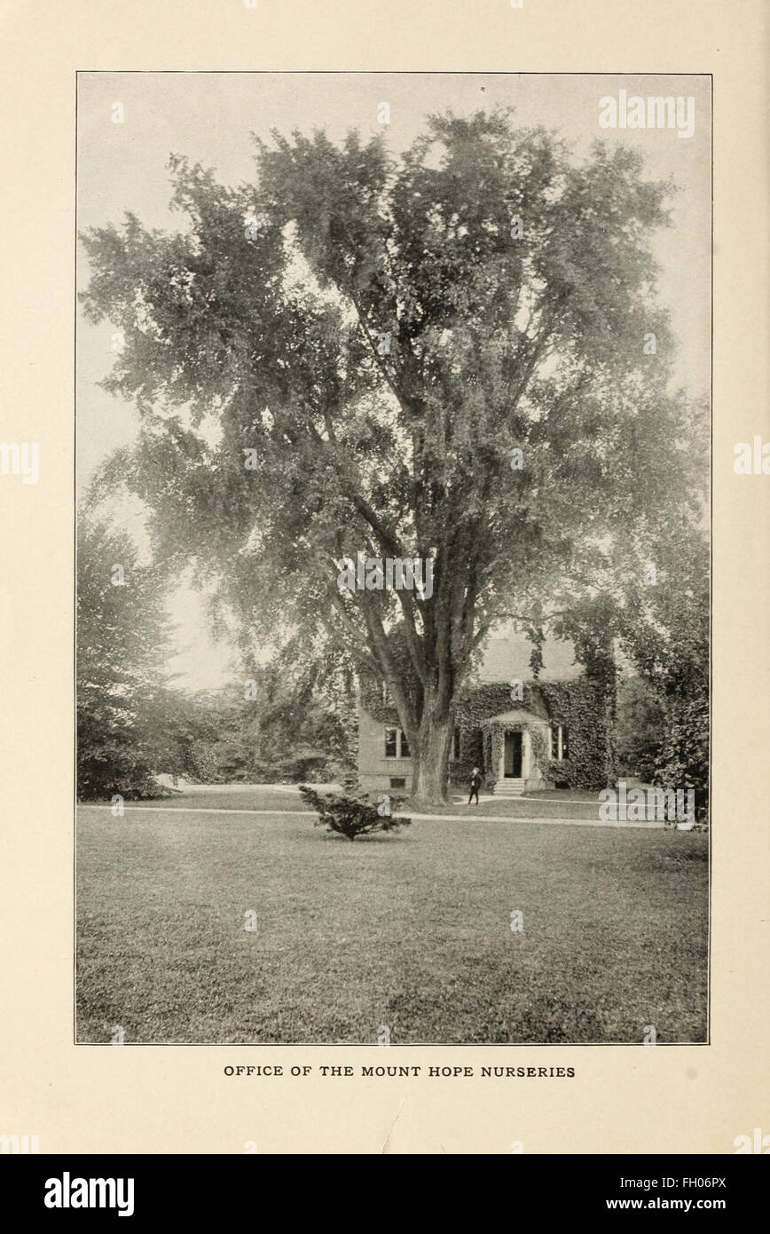 This catalog showcases unique and specialized plants, trees, and ...