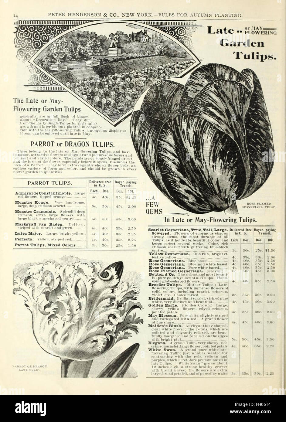 A catalog featuring a wide range of autumn-planted bulbs for gardens ...