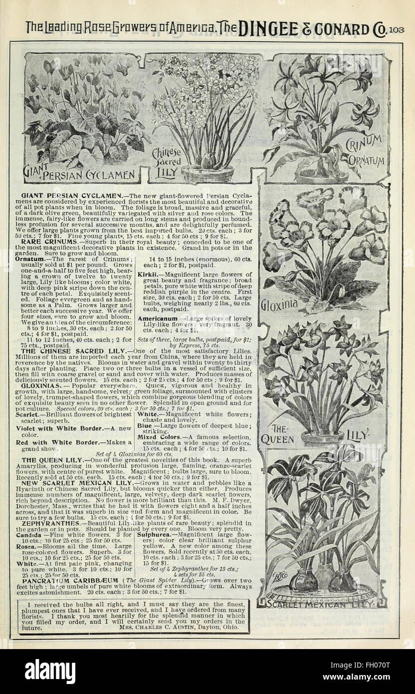 This guide provides practical advice on rose culture, including ...