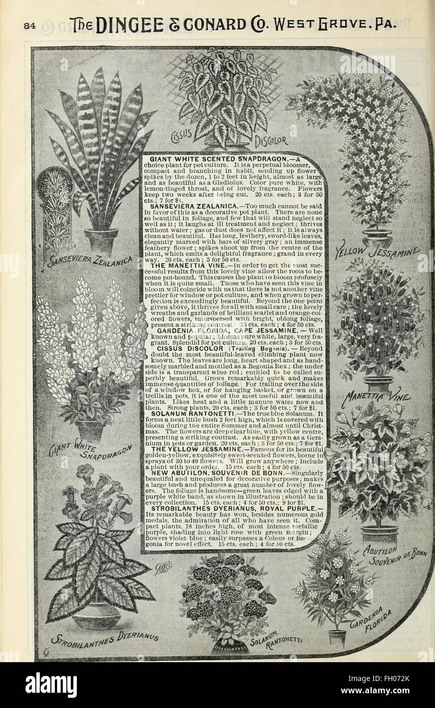 This guide provides comprehensive information on the cultivation of ...