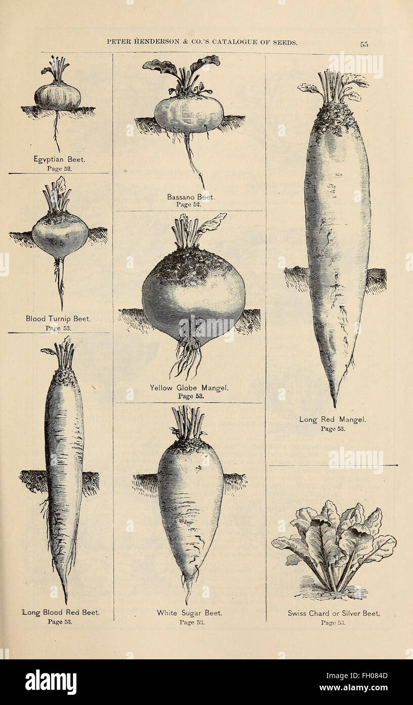A comprehensive seed catalogue offering a wide variety of seeds for ...