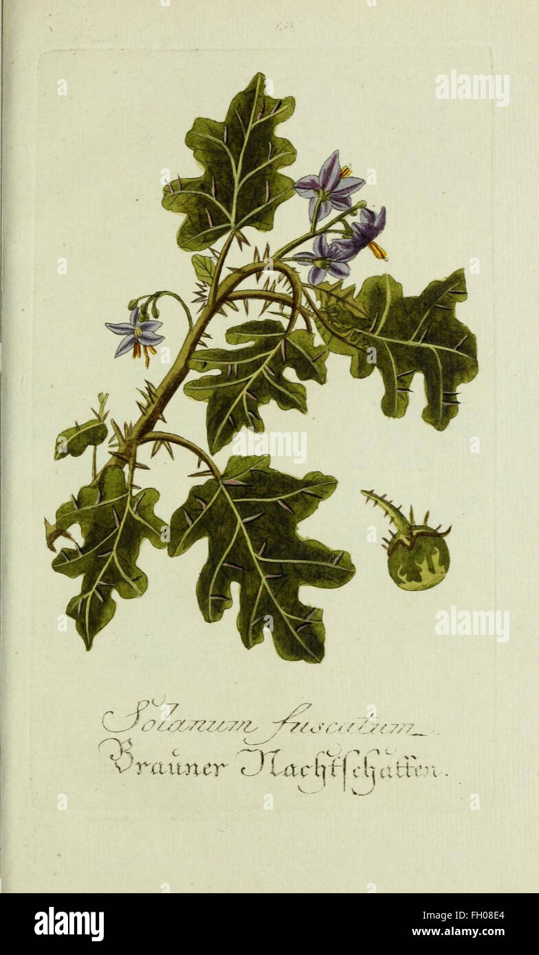 This work features color plates of native and exotic plants ...