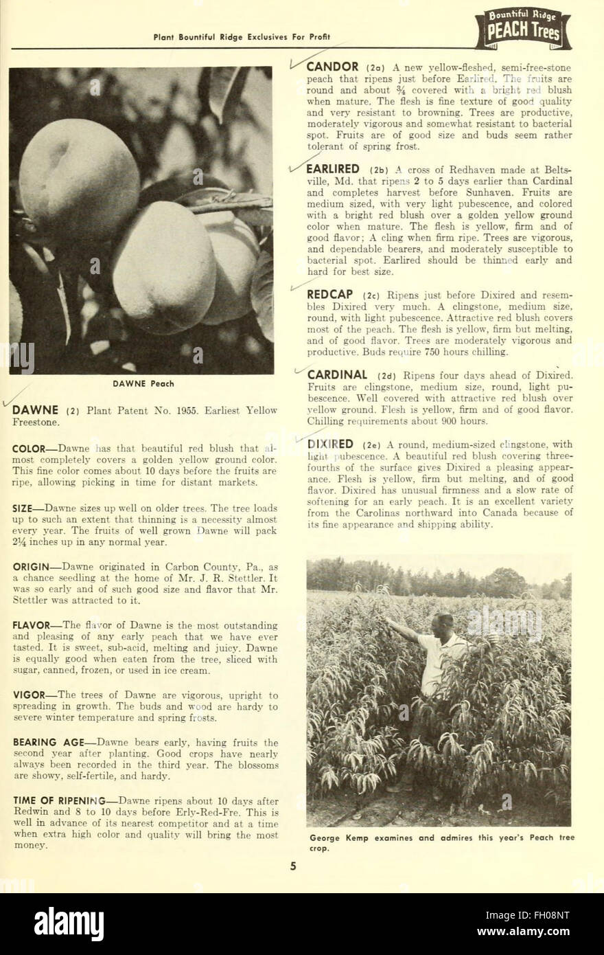 This planting guide provides instructions on how to successfully plant ...