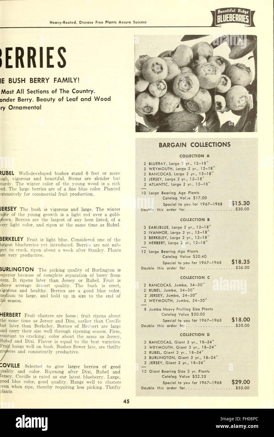 A practical guide for gardeners offering advice on plant selection ...