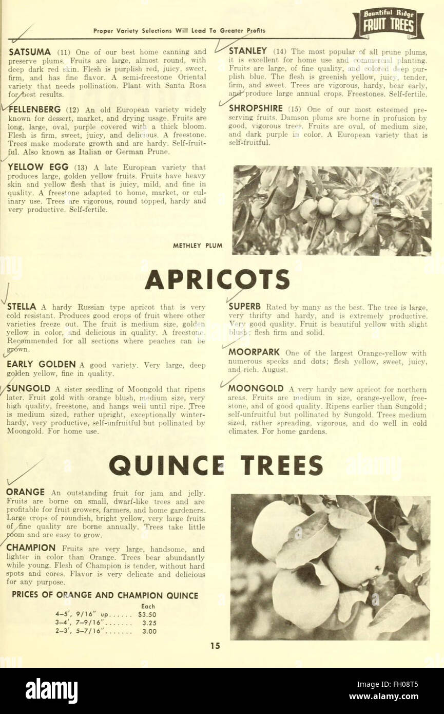 This planting guide provides step-by-step instructions for planting ...