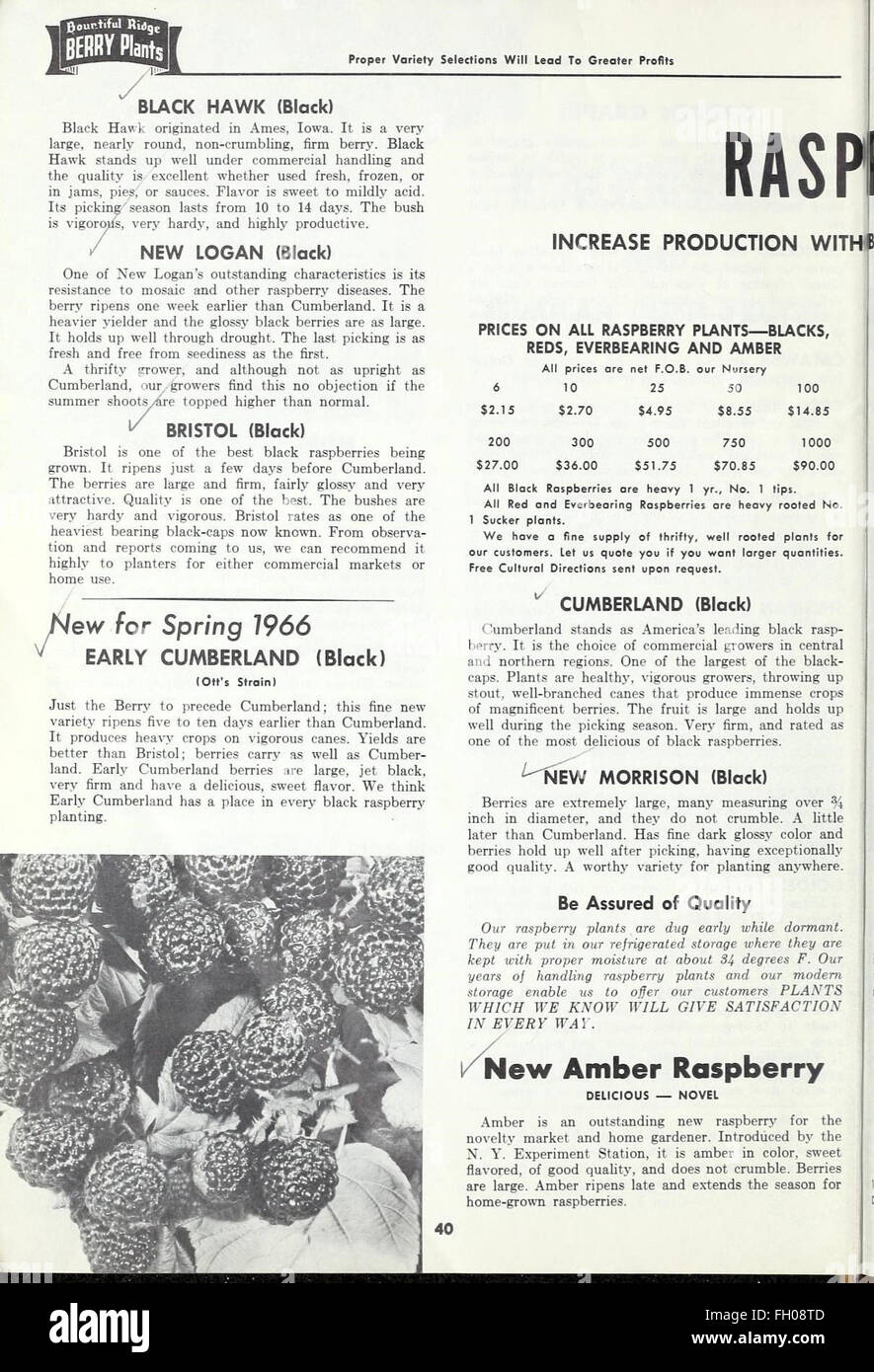 A detailed guide offering practical advice for planting different types ...