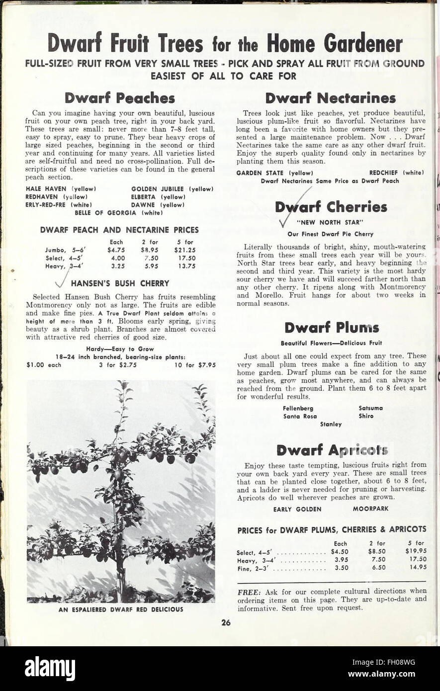 This planting guide offers advice on proper planting techniques ...