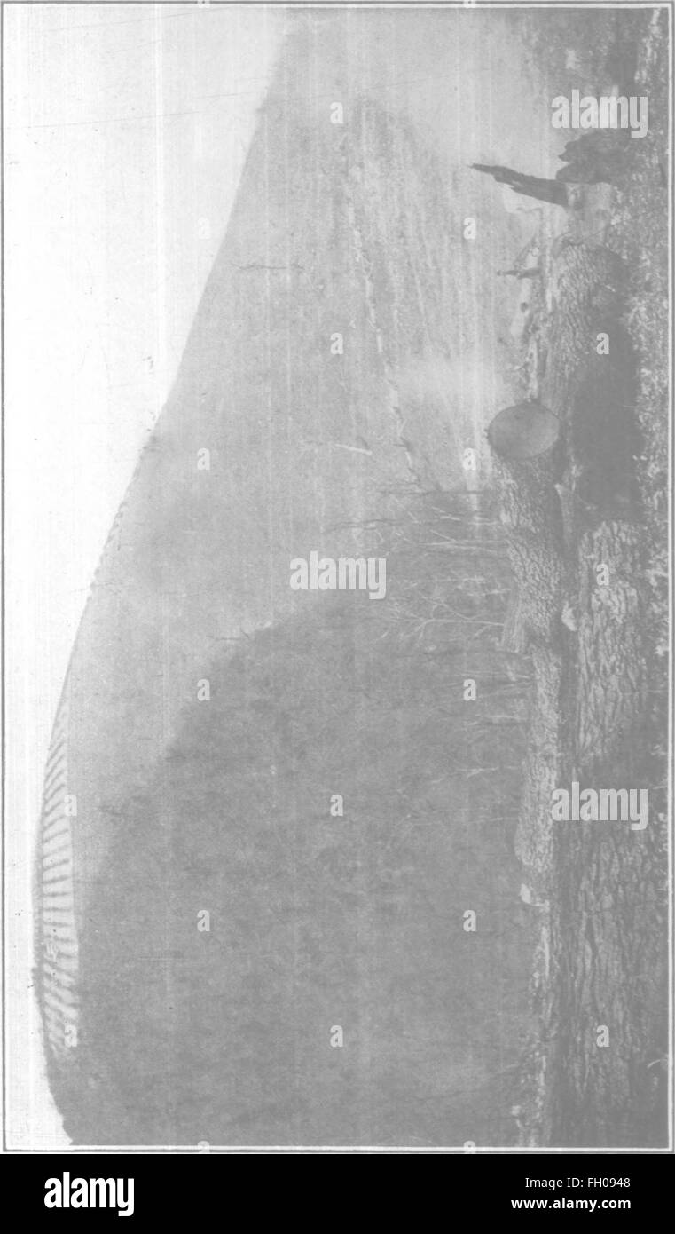 This 1911 guide focuses on the methods of orchard management in less ...
