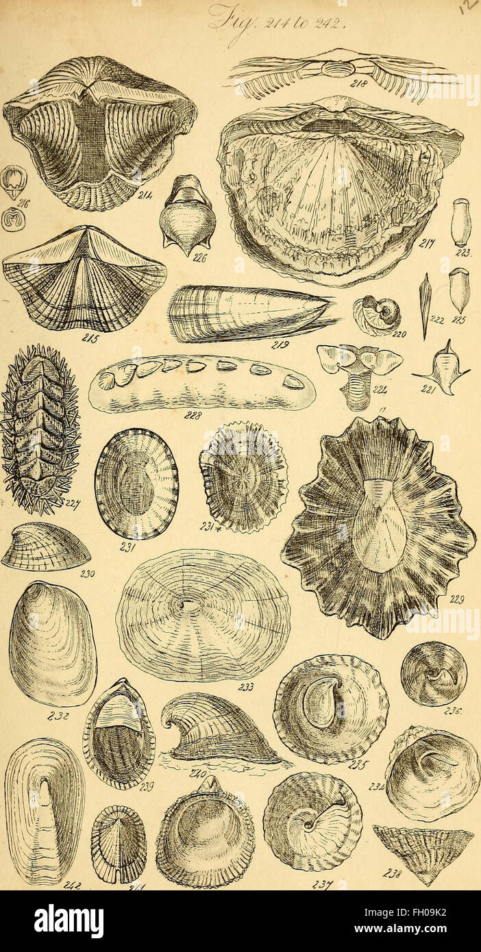 This 1842 manual provides detailed descriptions and classifications of ...