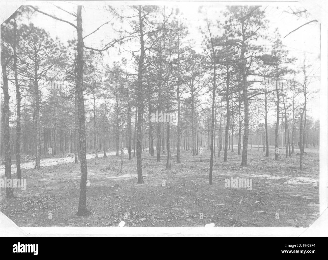 Wildfire prevention methods hi-res stock photography and images - Alamy