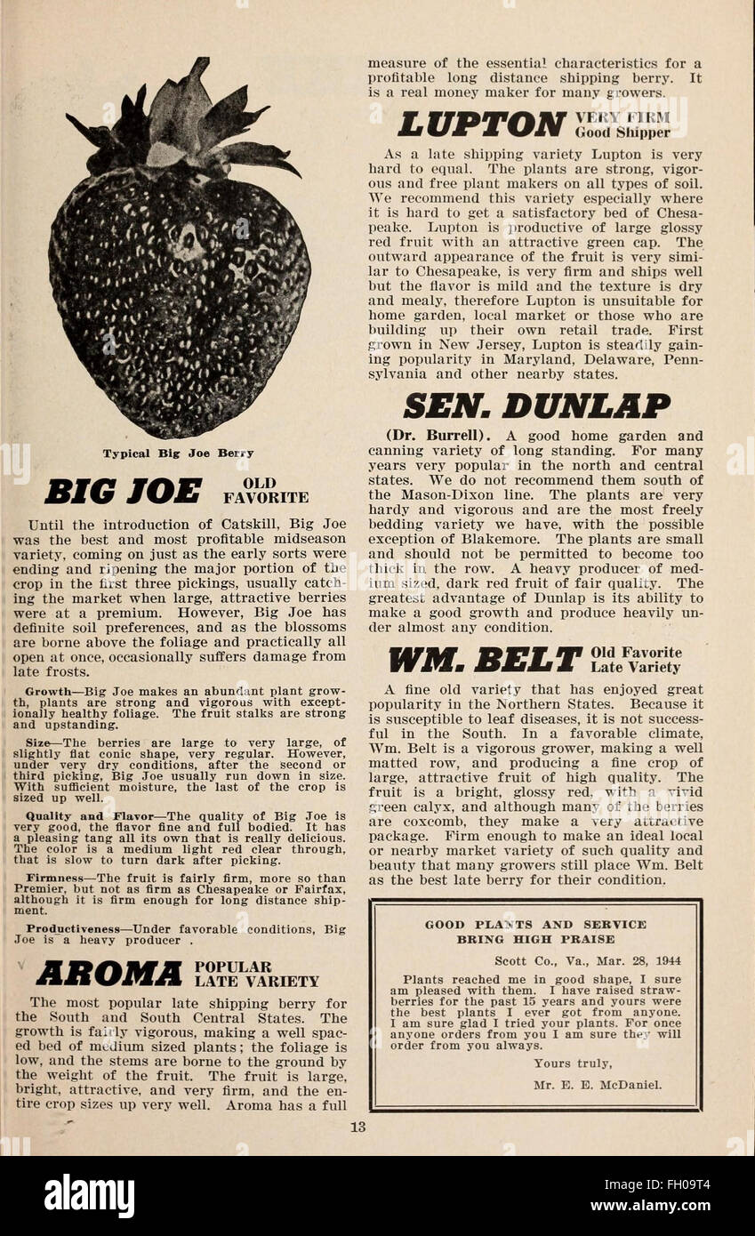 Rayner's Berry Book (1945) is a detailed guide to berry cultivation ...