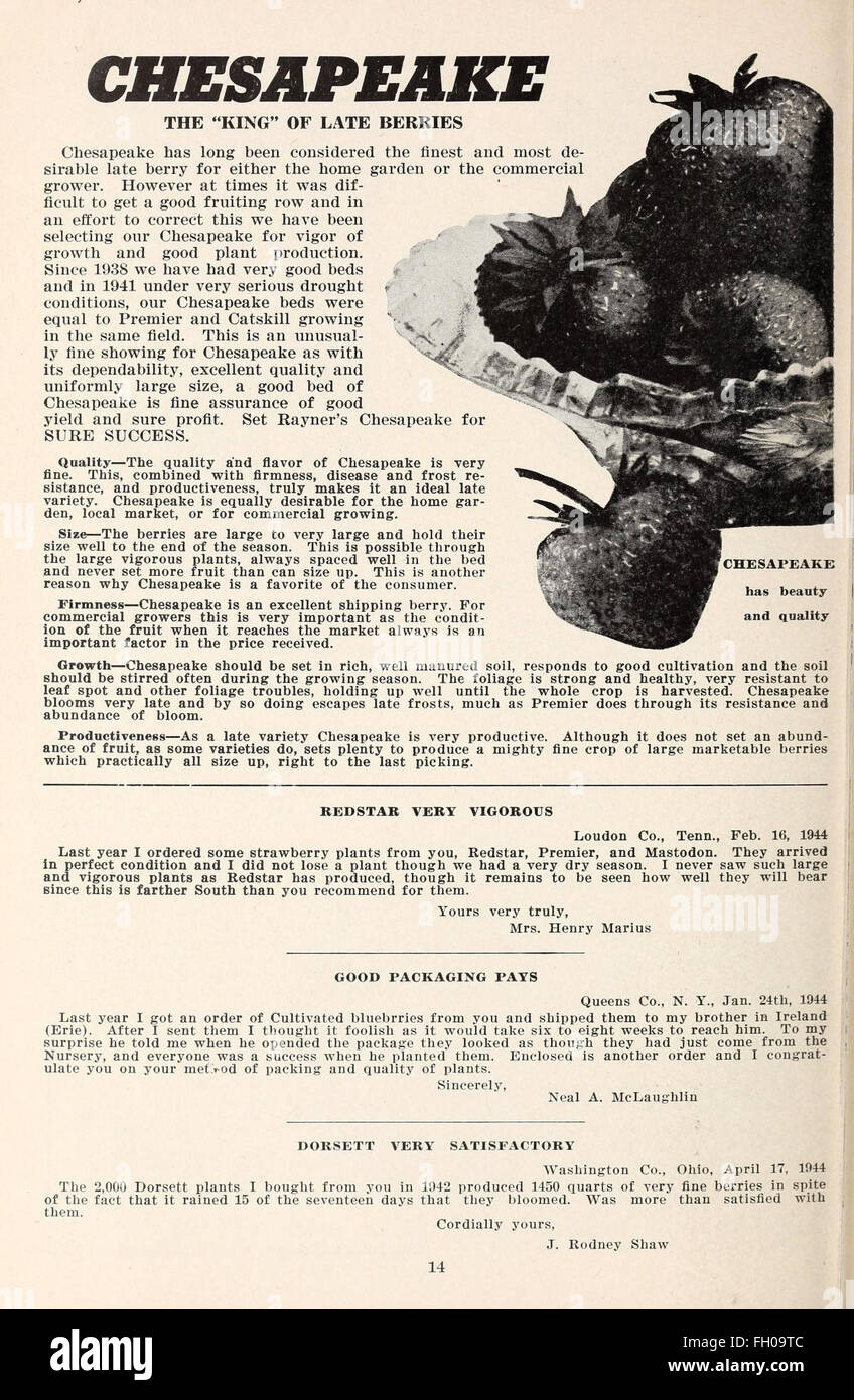 Rayners 1945 berry book hi-res stock photography and images - Alamy