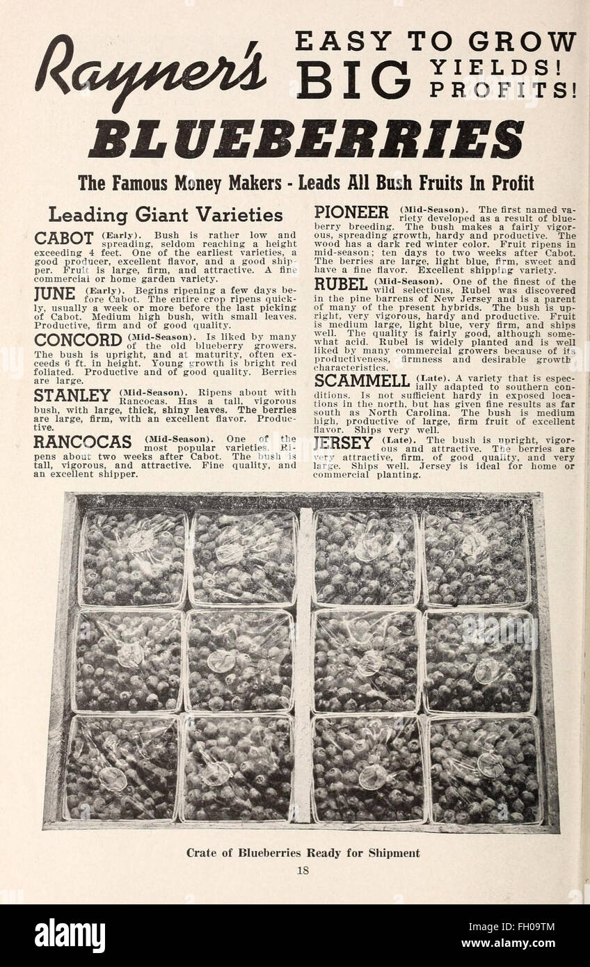 Rayners 1945 berry book hi-res stock photography and images - Alamy