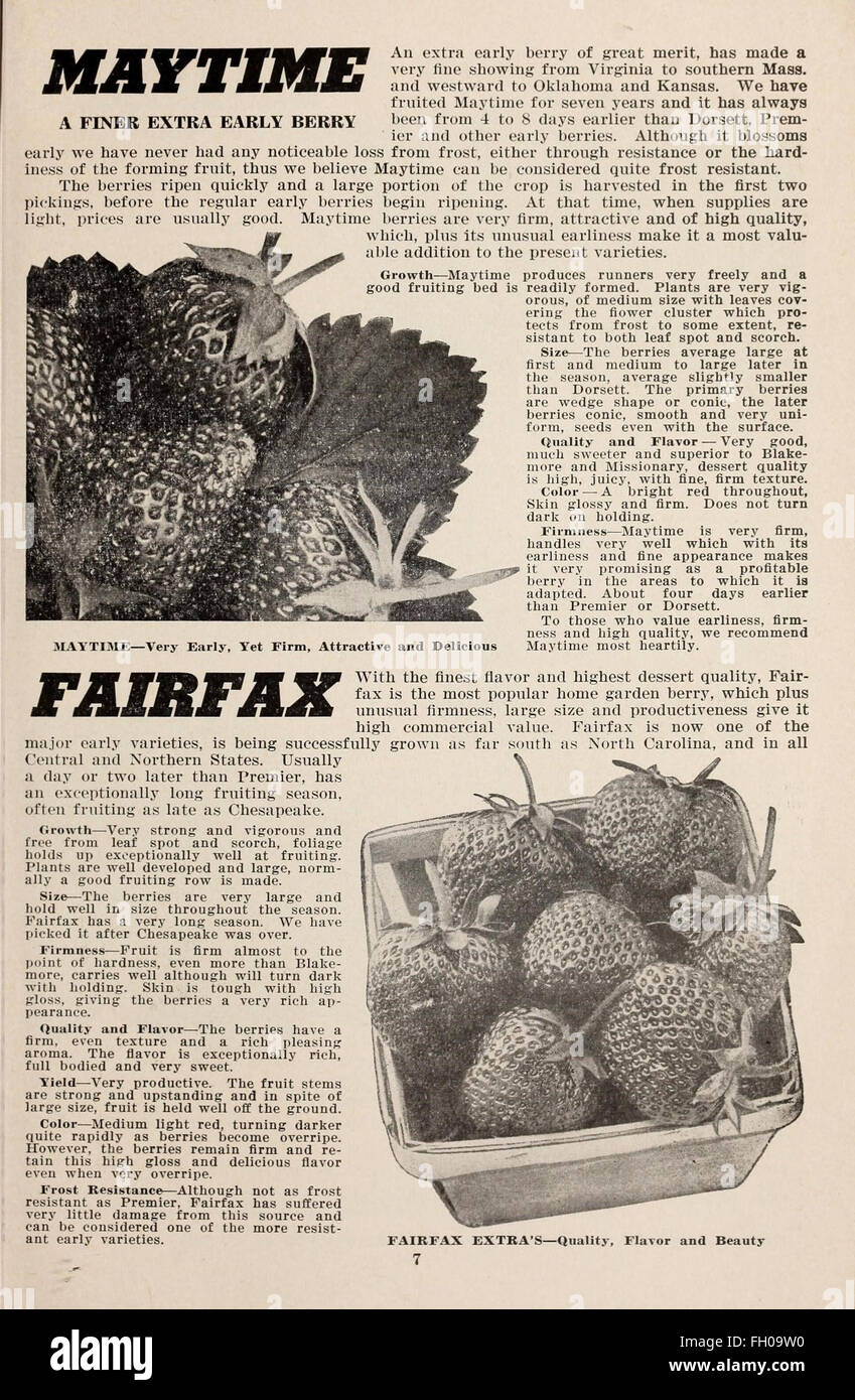 Berry book hi-res stock photography and images - Alamy