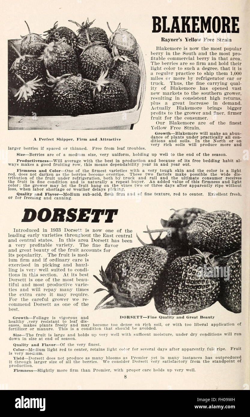 Rayner’s 1945 Berry Book provides detailed guidance on cultivating ...