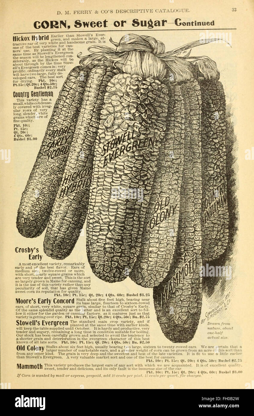 This seed catalog features a wide range of seeds for various plants ...