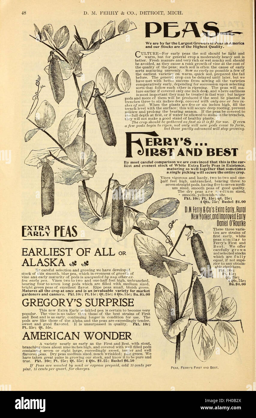 The Seed Annual presents a wide range of seeds for planting, featuring ...