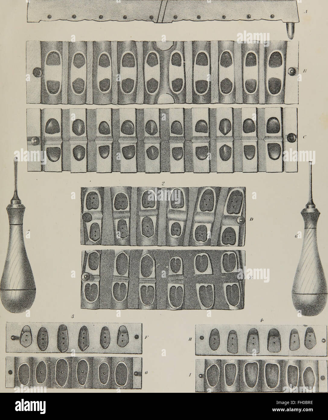 This 1854 text explores the structure, function, and diseases of human ...