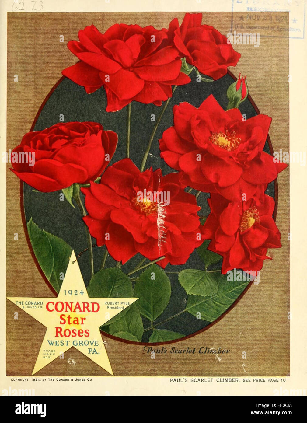 This work features Conard Star Roses, a notable collection of hybrid ...