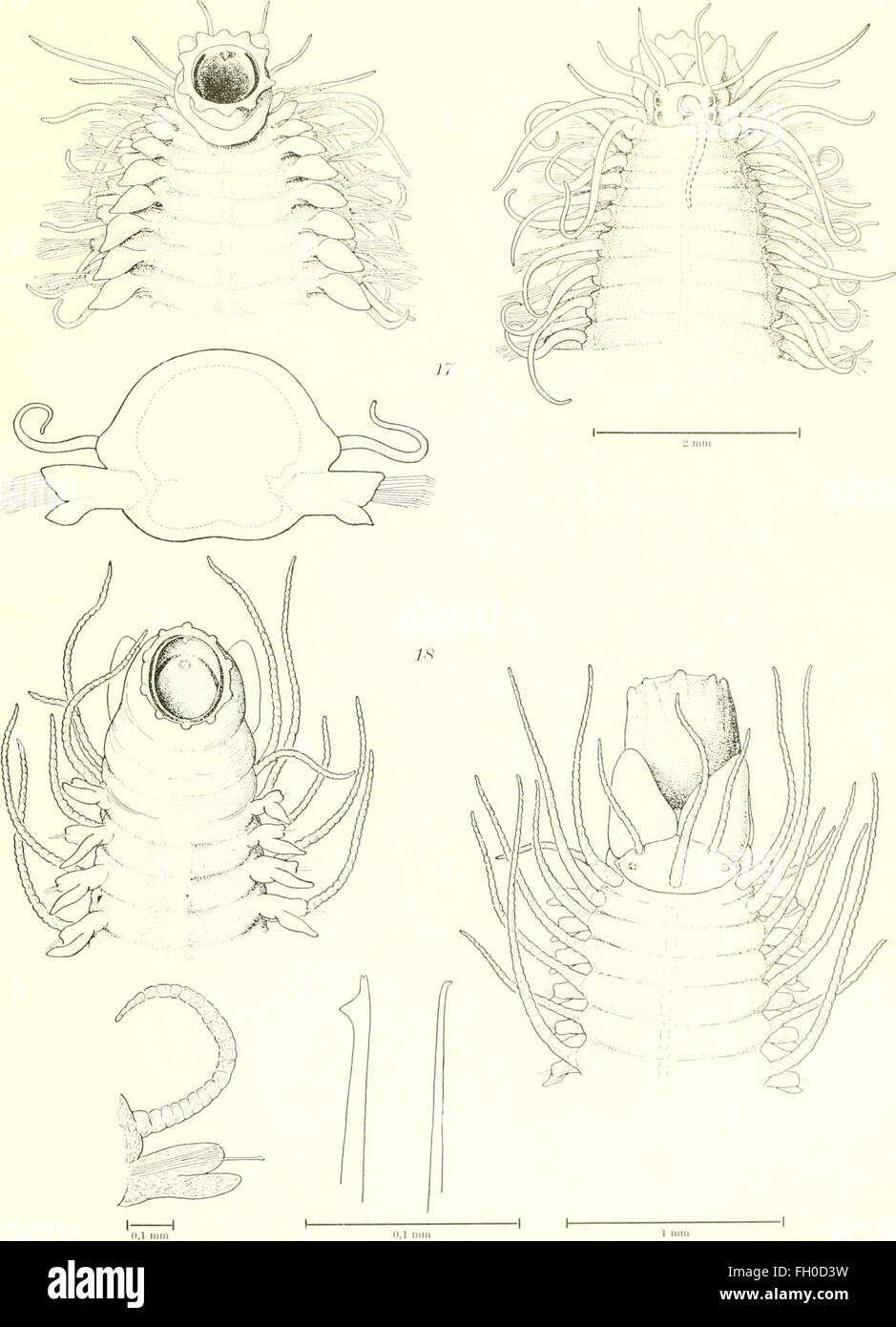 A long-term scientific exploration of the Arctic and sub-Arctic regions ...