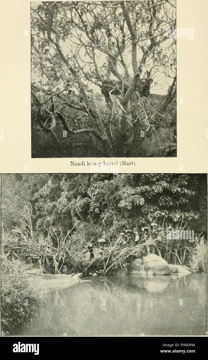 Map of nandi hi-res stock photography and images - Alamy