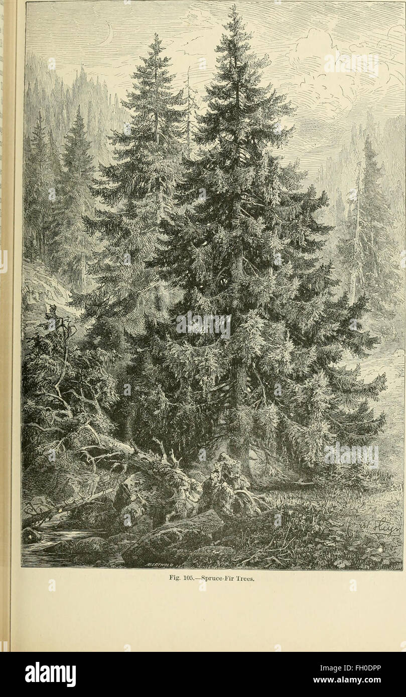 History of plants hi-res stock photography and images - Alamy