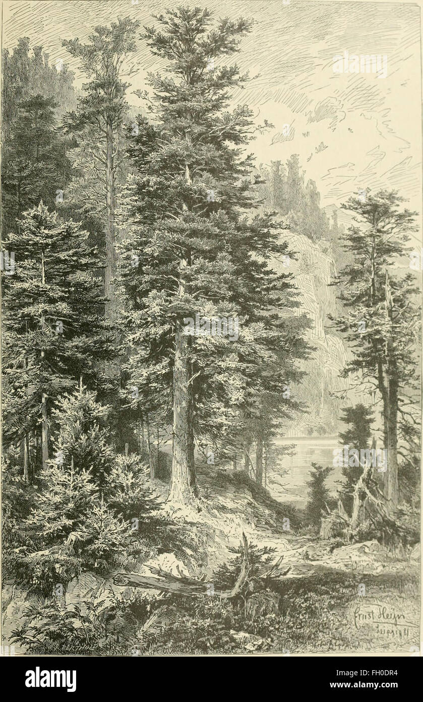 This 1902 work explores the biological aspects of plants, covering ...