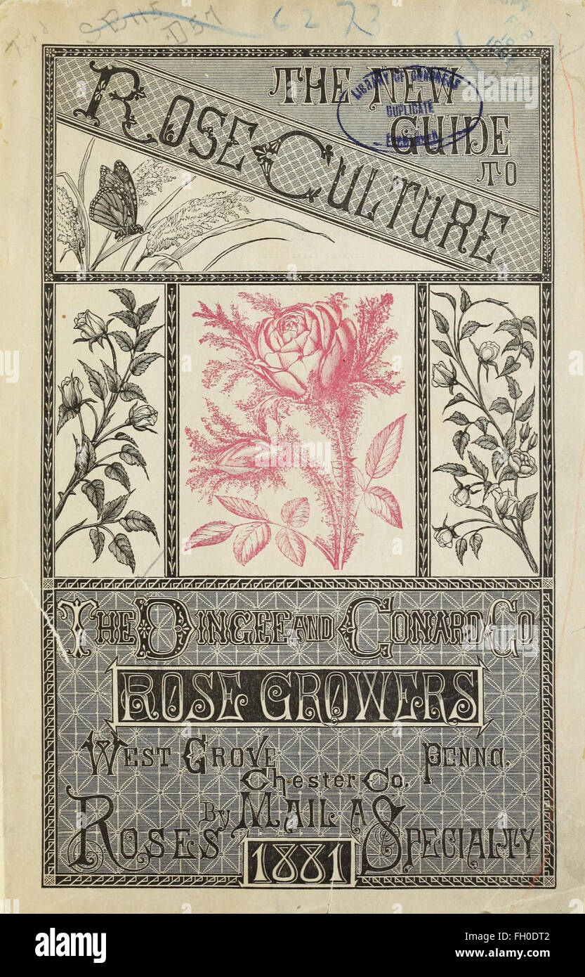 Rose culture roses u s department of agriculture hi-res stock ...