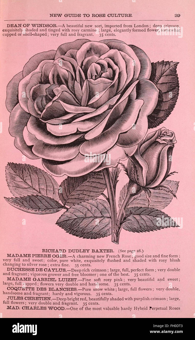 This guide provides detailed instructions on the cultivation and care ...