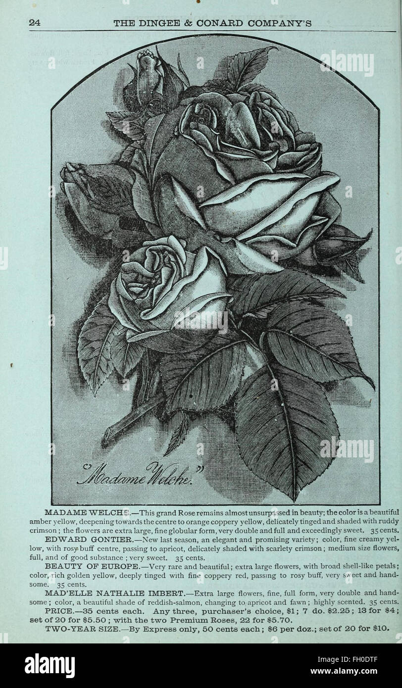This guide offers practical advice on cultivating roses, covering ...
