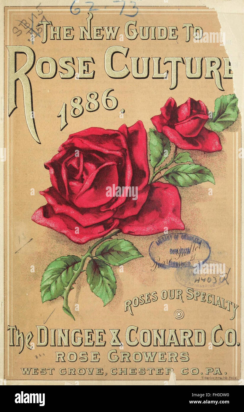 The New Guide to Rose Culture provides in-depth knowledge about ...