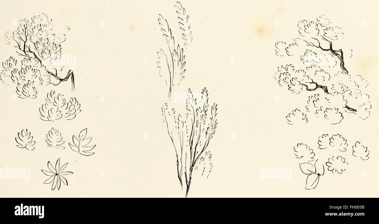 The progressive drawing-book - containing a series of easy and ...