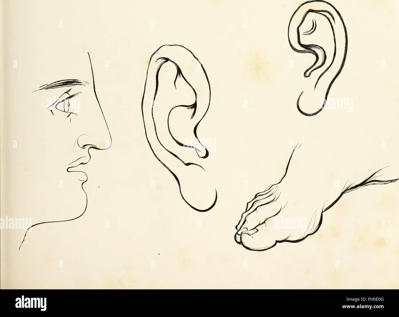 This instructional book provides easy-to-follow lessons for drawing ...