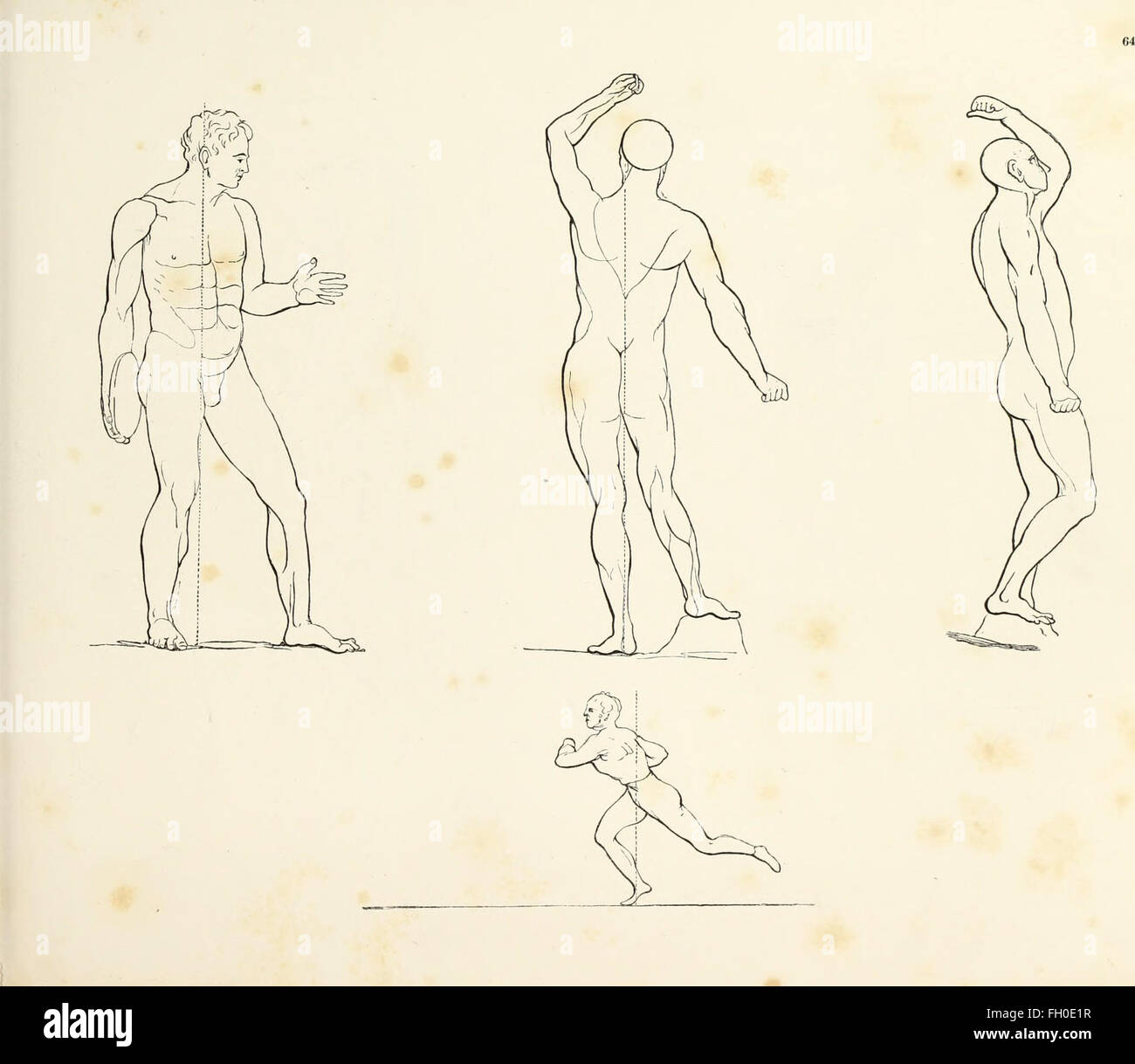 This progressive drawing book provides a series of lessons on drawing ...