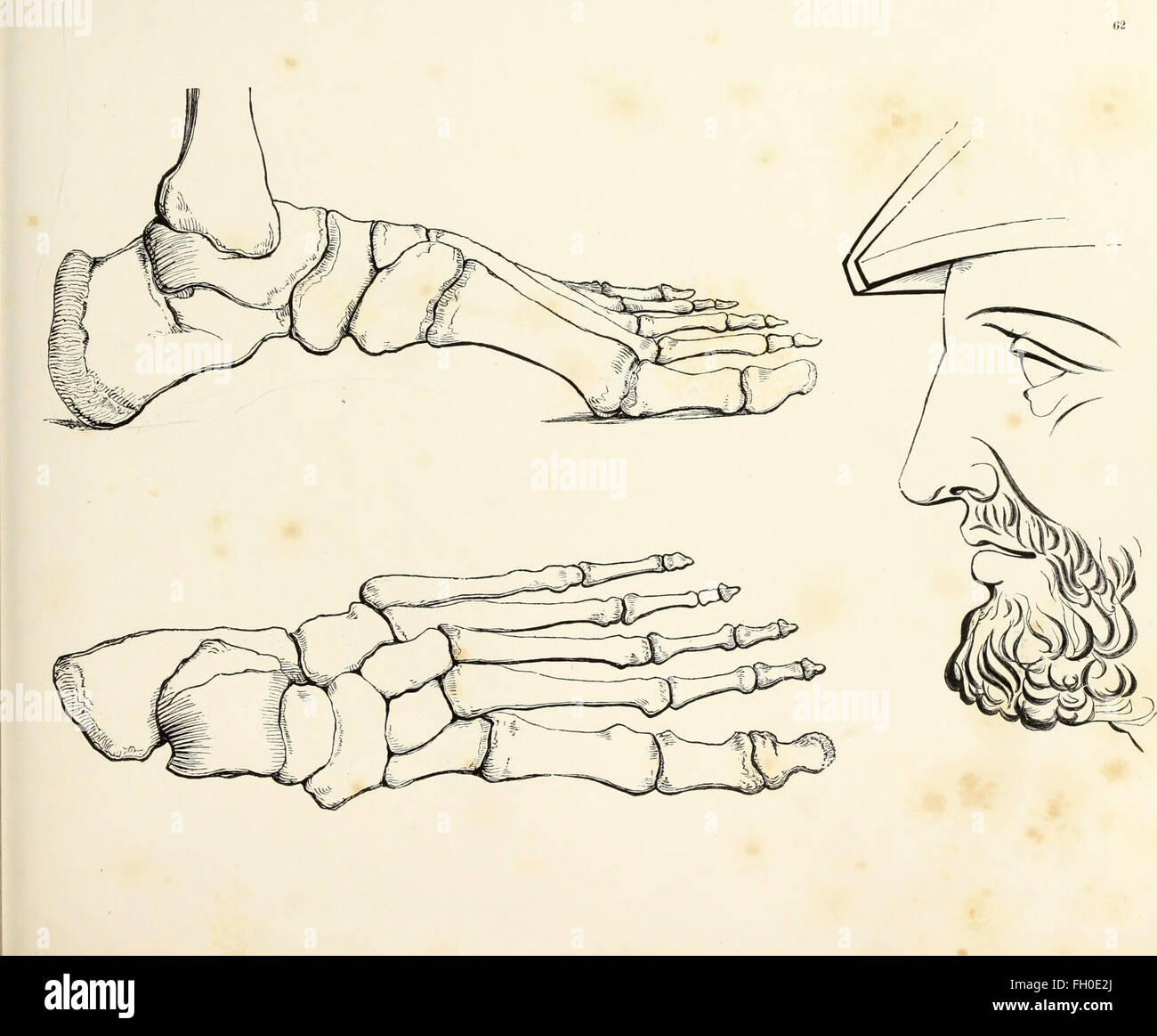 The progressive drawing-book - containing a series of easy and ...